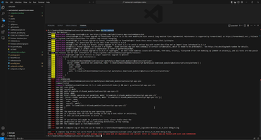 Viacheslav Eremin | Node.JS Configuration - set Angular, Typescript, Nativescript, NPM custom ...