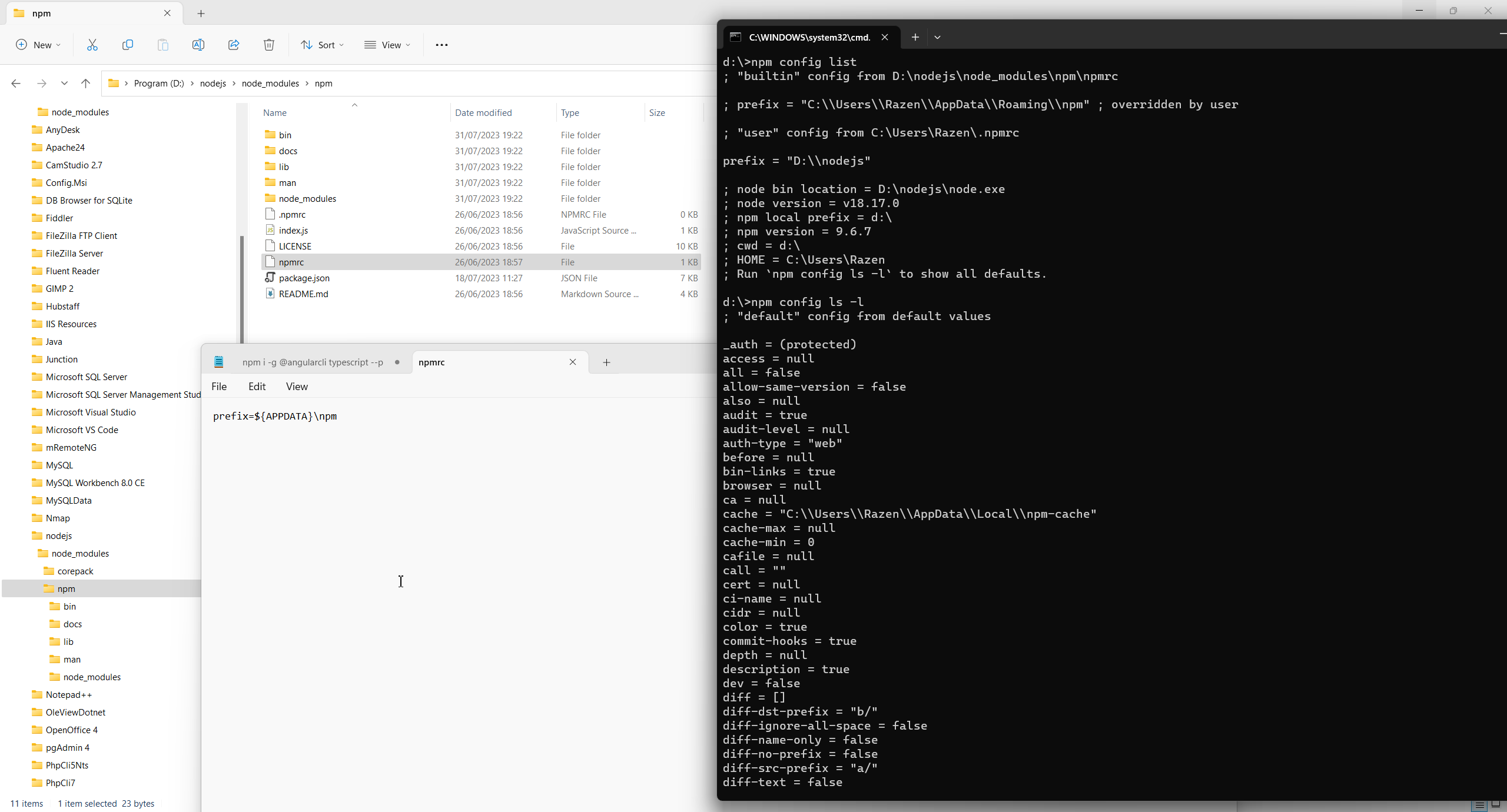 Viacheslav Eremin | Node.JS Configuration - set Angular, Typescript, Nativescript, NPM custom ...