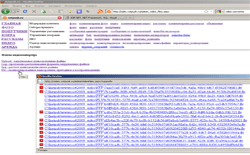 Viacheslav Eremin | Опыт видео-конвертации